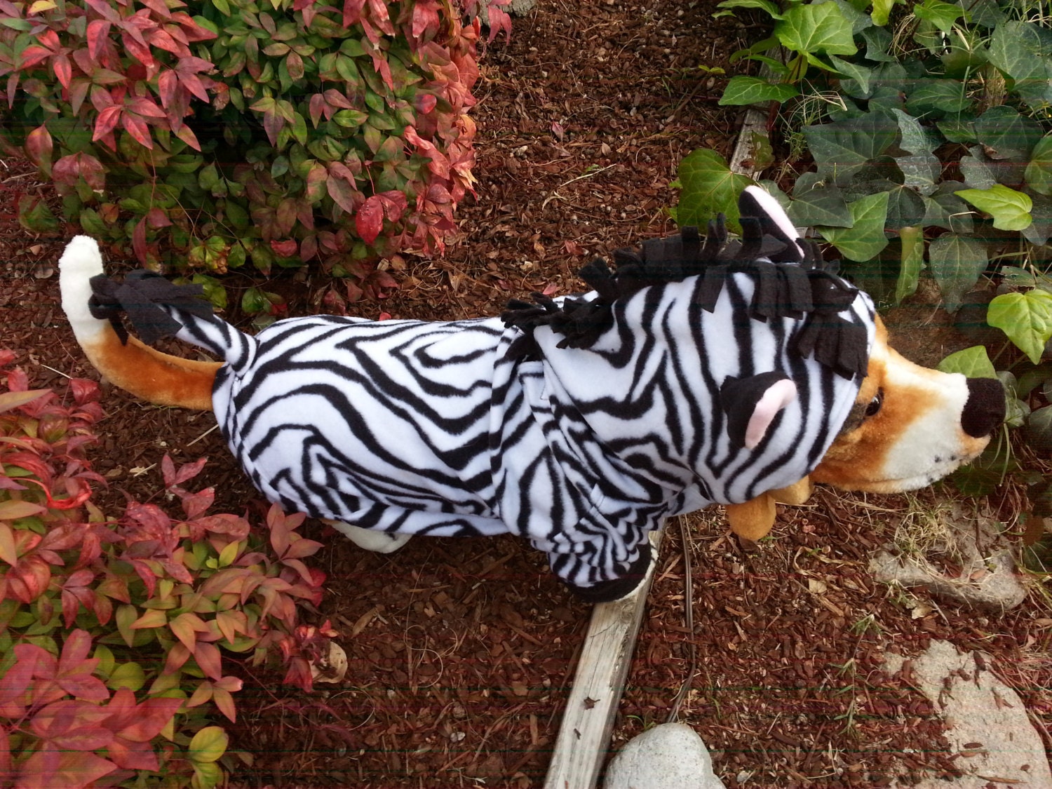 Zebra Hoodie for Dog or Cat Xsmall-xlarge by TKC Cozy Pawz - Etsy