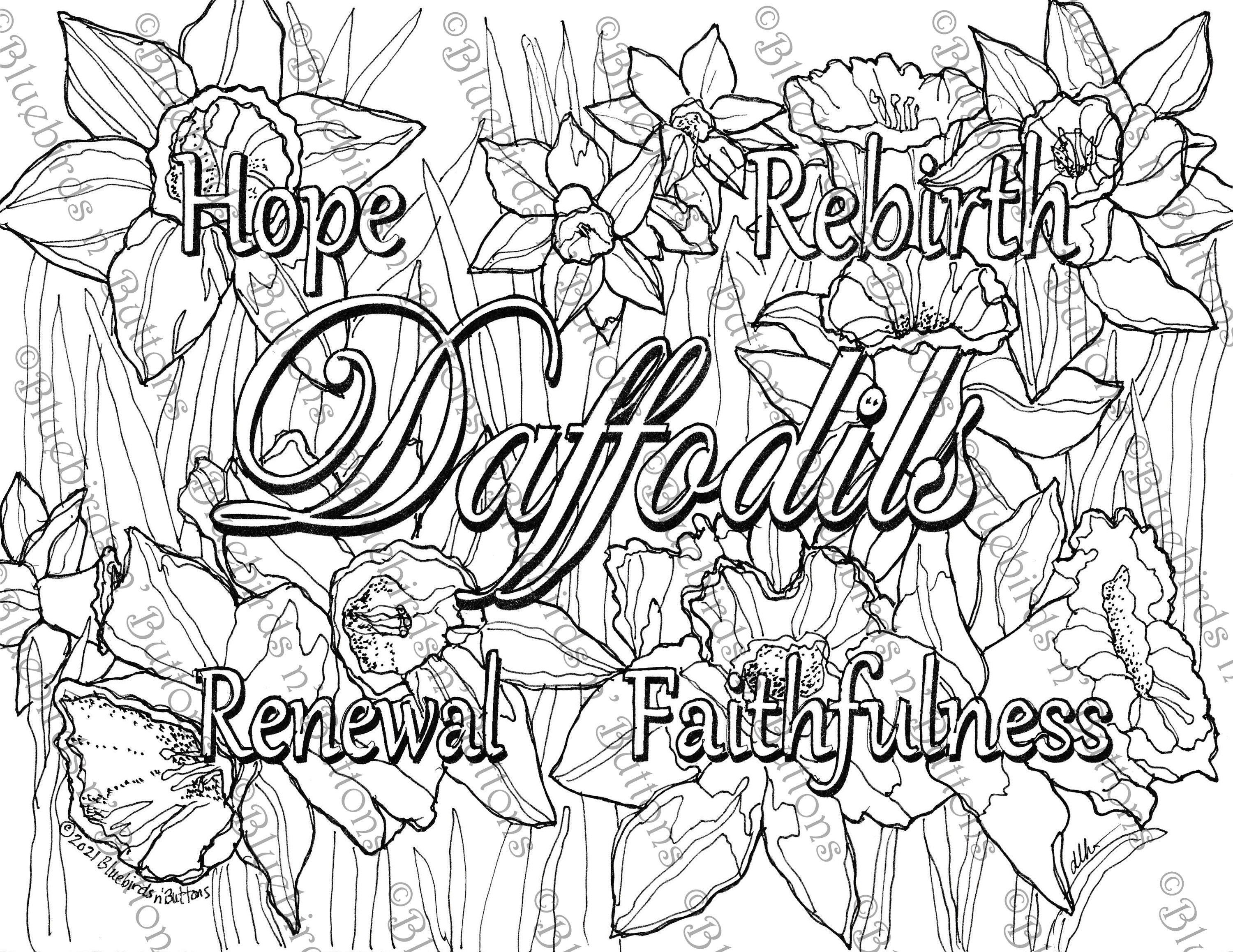 Printable Color-Your-Own Note Cards Blank Greeting Cards | Etsy