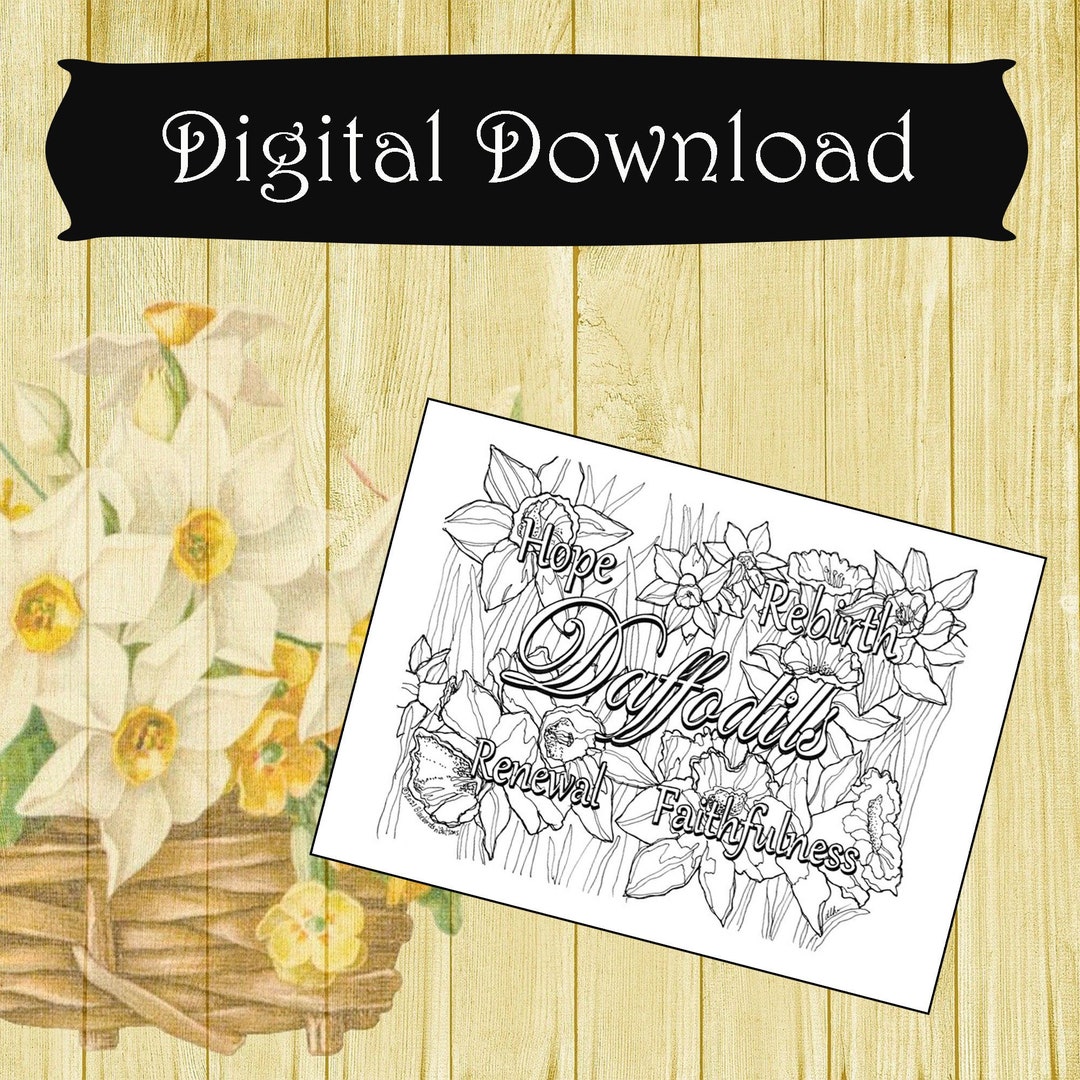 Printable Color-your-own Note Cards - Blank Greeting Cards - Digital ...