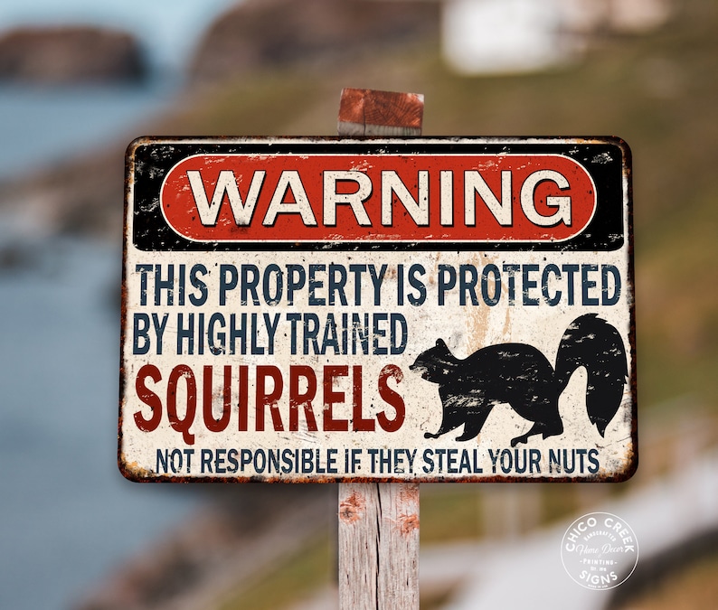 Warning Squirrels Sign Pet Rodents Sign Funny Gift Farmhouse - Etsy