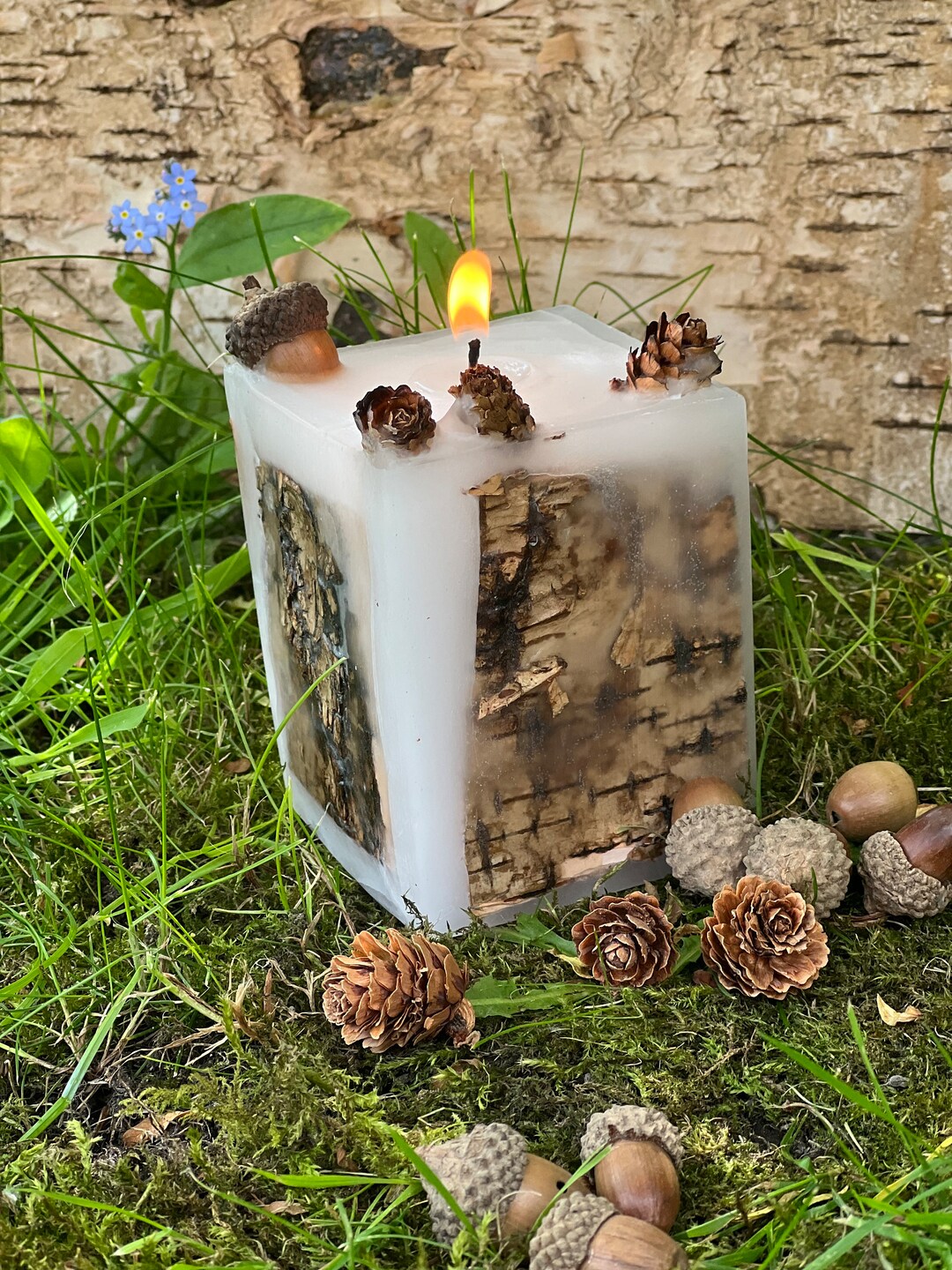 Spirit of the Forest Candle, Candle With Birch Bark, Magical Botanical ...