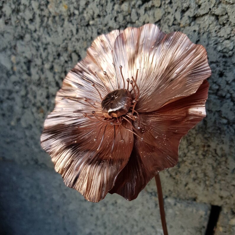 Copper Poppy Rememberance Flower Tribute Home Decor - Etsy