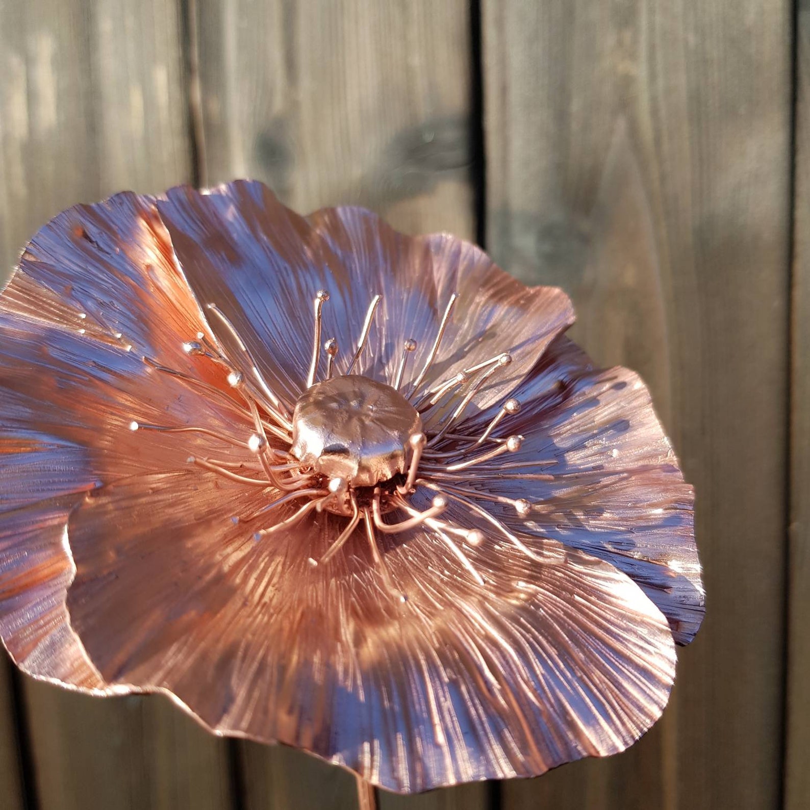 Copper Poppy, Rememberance Flower, Tribute, Home Decor, Flowers to Keep ...