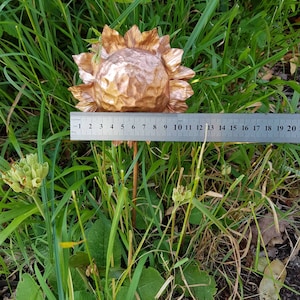 Copper Sunflower. an Ideal Wedding Anniversary Gift, Birthday Present ...