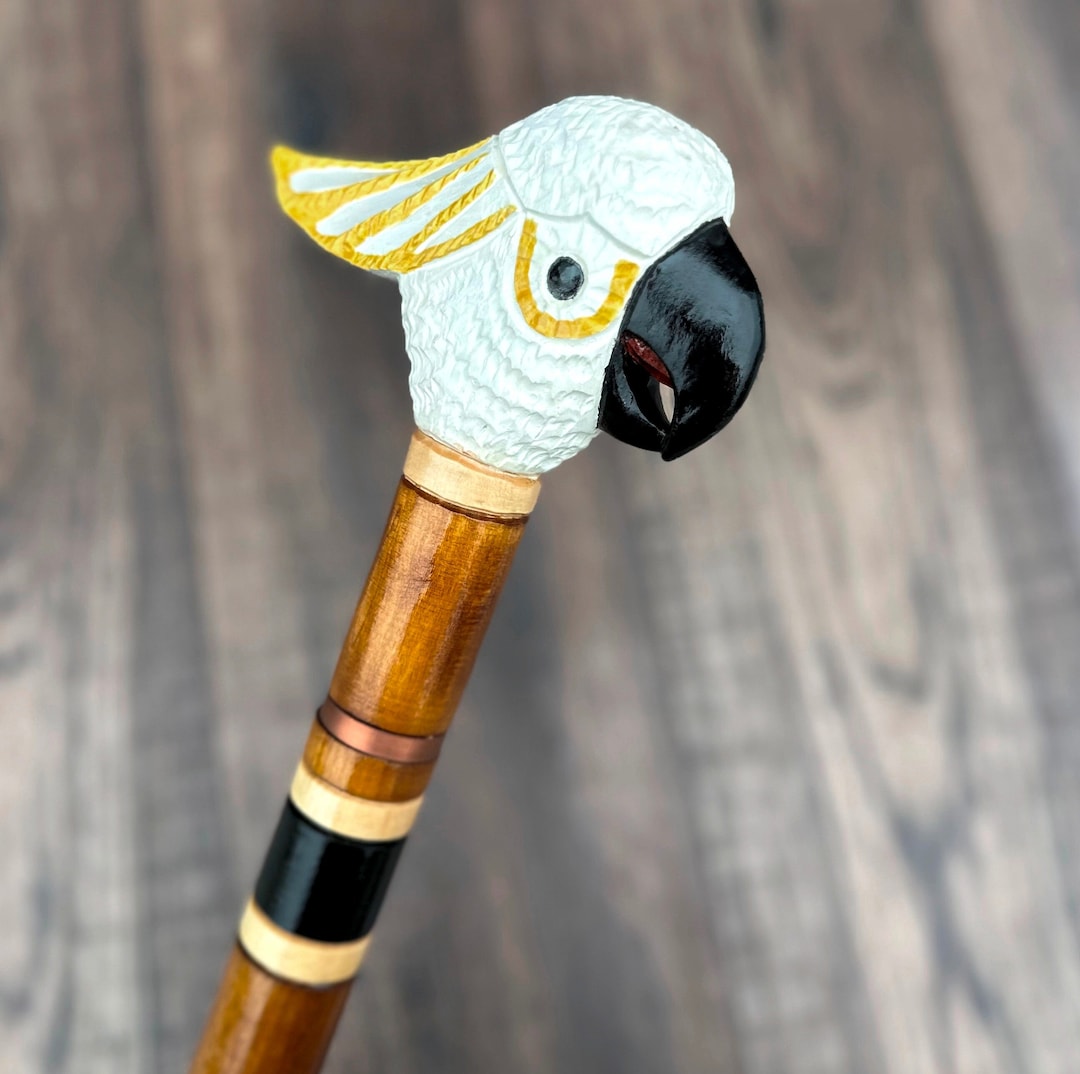 Walking Cane Canes and Walking Sticks Walking Stick Wooden Cane ...