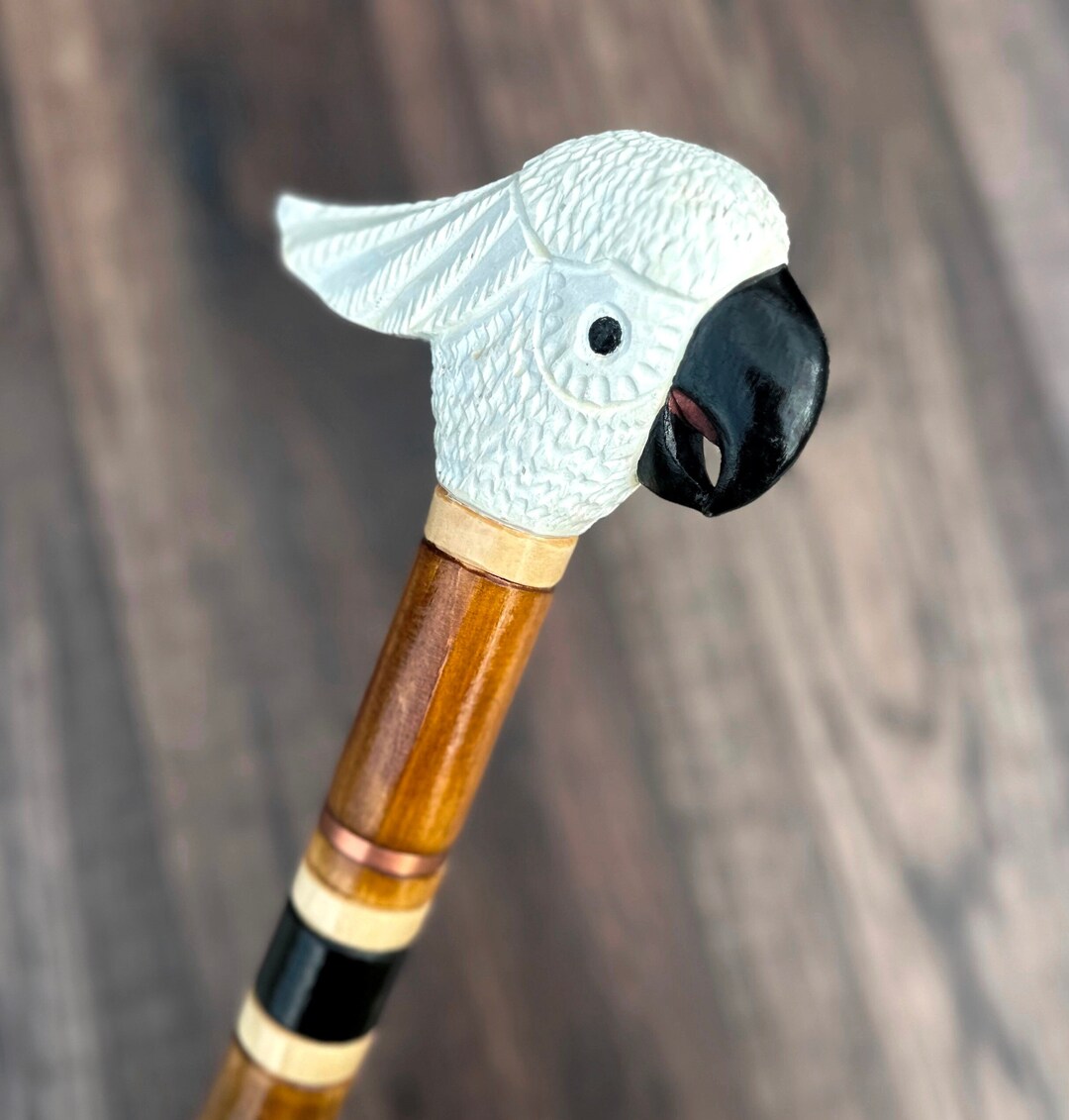 Walking Cane Canes and Walking Sticks Walking Stick Wooden Cane ...