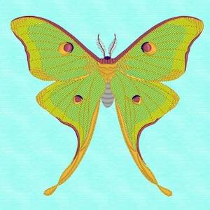 DNEembroidery - Etsy