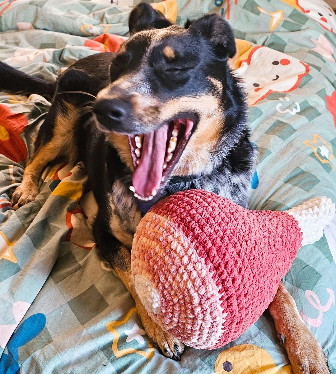 This item is unavailable - Etsy