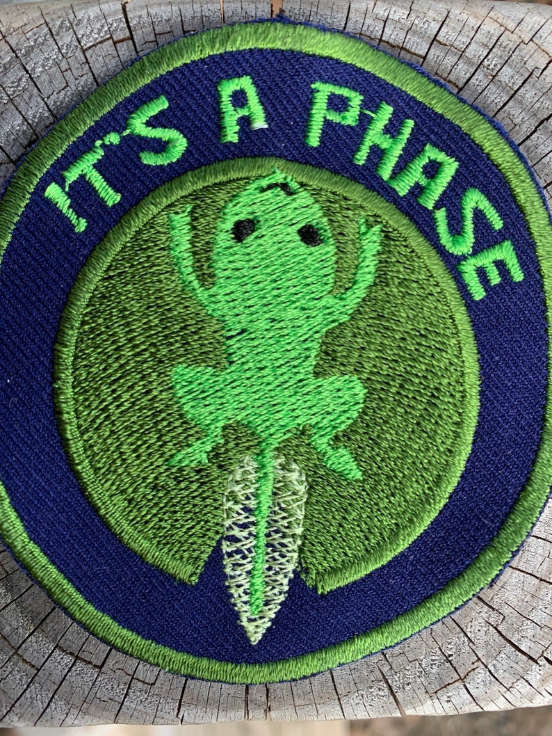 It's A Phase Tadpole Patch | Etsy