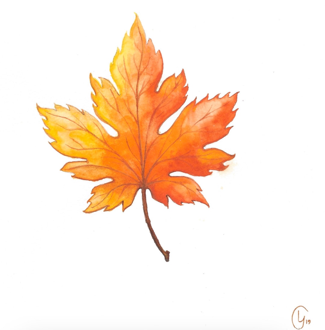 Falling- Maple Leaf - Etsy