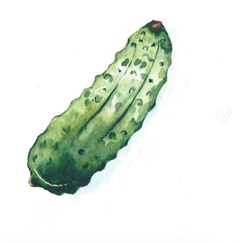 Pickle **SOLD** - Etsy
