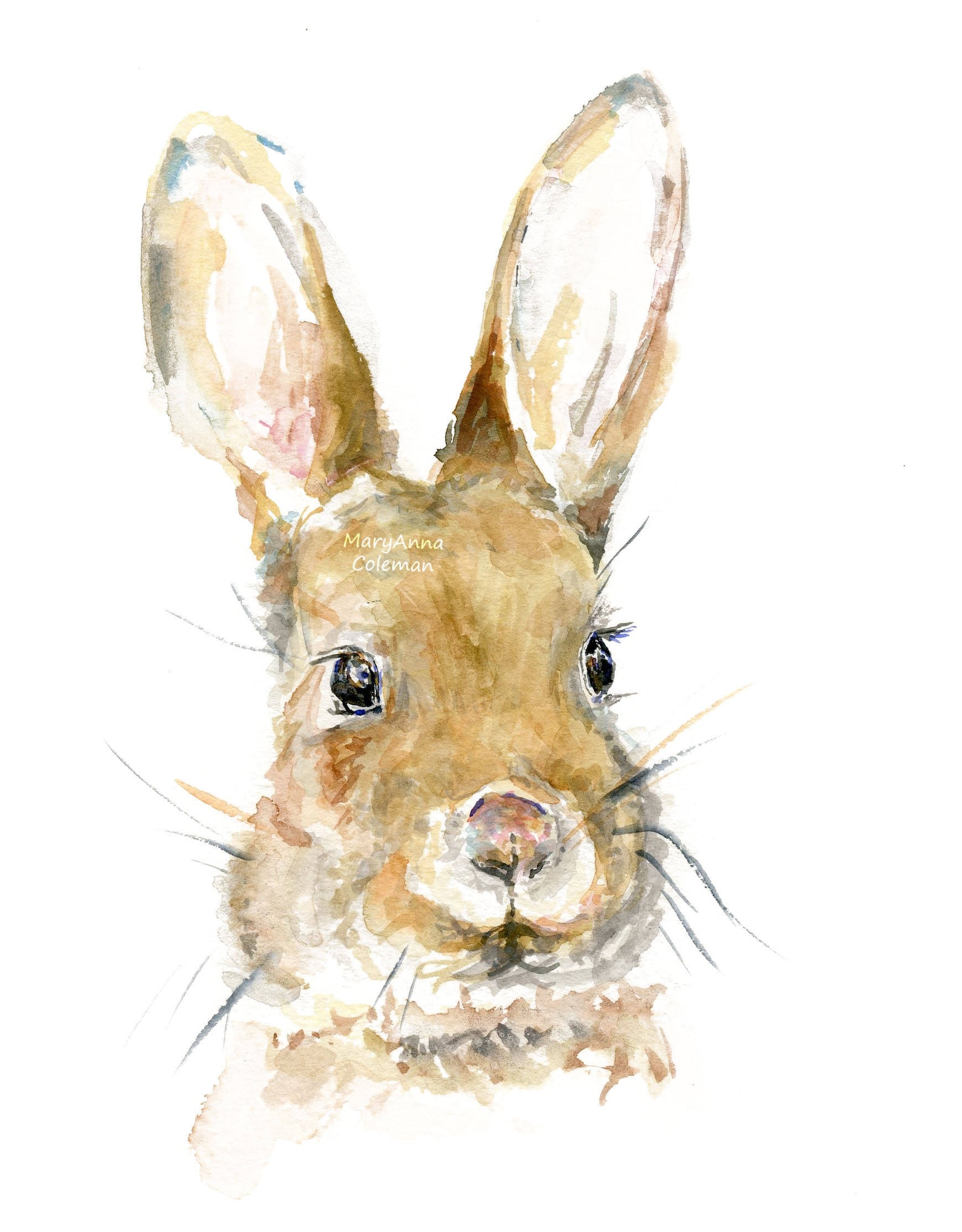 Bunny Portrait - Etsy