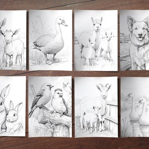 52 Farm Animals Digital Coloring Book, Cow, Pig, Sheep, Chicken, Horse ...