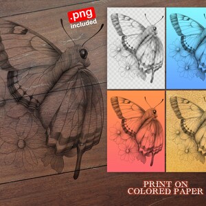 33 Butterflies Digital Coloring Book Part-1, Butterfly Coloring Pages ...
