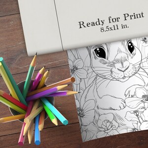 40 Woodland Animals Coloring Book, Cute Animal Coloring Pages, Fox ...