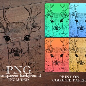 40 Woodland Animals Coloring Book, Cute Animal Coloring Pages, Fox ...