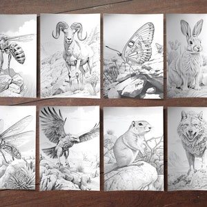 60 Desert Animals Digital Coloring Book, Safari Animals Coloring Pages ...