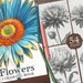 54 Flowers Digital Coloring Book, Floral Coloring Pages, Rose Coloring ...