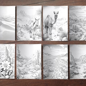 80 Desert Landscape Digital Coloring Book, Grayscale Desert Coloring ...