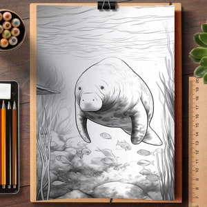 64 Underwater Animals Digital Coloring Book, Ocean Creatures, Sea ...