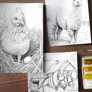 52 Farm Animals Digital Coloring Book, Cow, Pig, Sheep, Chicken, Horse ...