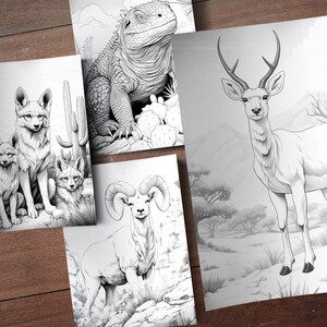 60 Desert Animals Digital Coloring Book, Safari Animals Coloring Pages ...