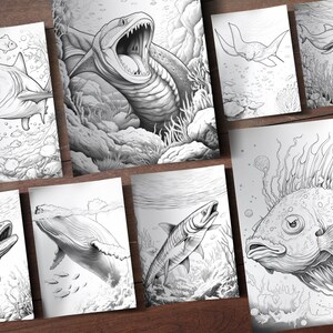64 Underwater Animals Digital Coloring Book, Ocean Creatures, Sea ...