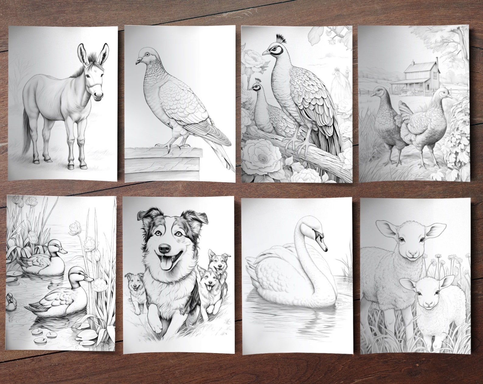 52 Farm Animals Digital Coloring Book, Cow, Pig, Sheep, Chicken, Horse ...