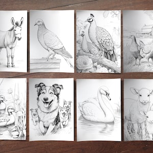 52 Farm Animals Digital Coloring Book, Cow, Pig, Sheep, Chicken, Horse ...