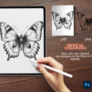 33 Butterflies Digital Coloring Book Part-1, Butterfly Coloring Pages ...