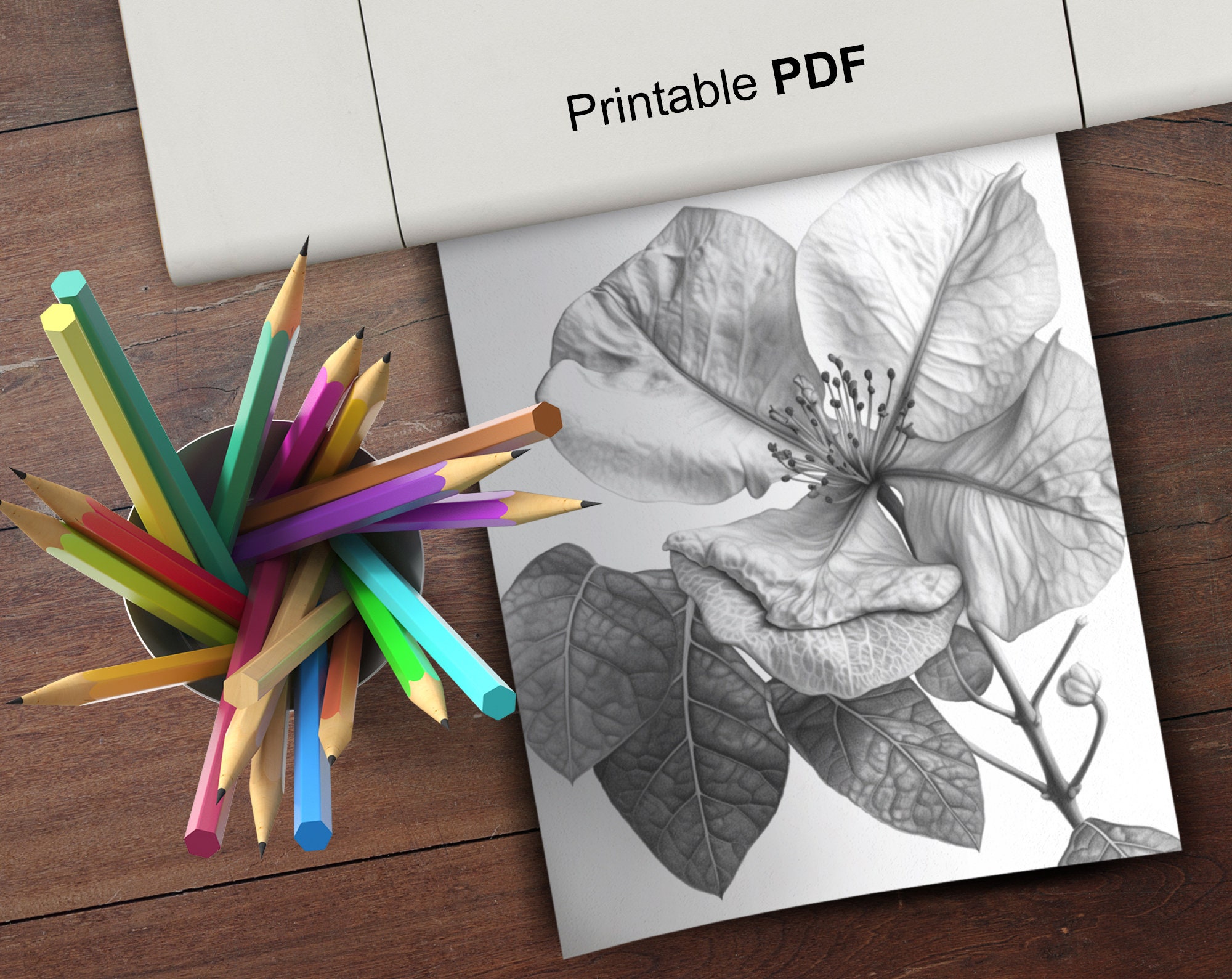 54 Flowers Digital Coloring Book, Floral Coloring Pages, Rose Coloring ...
