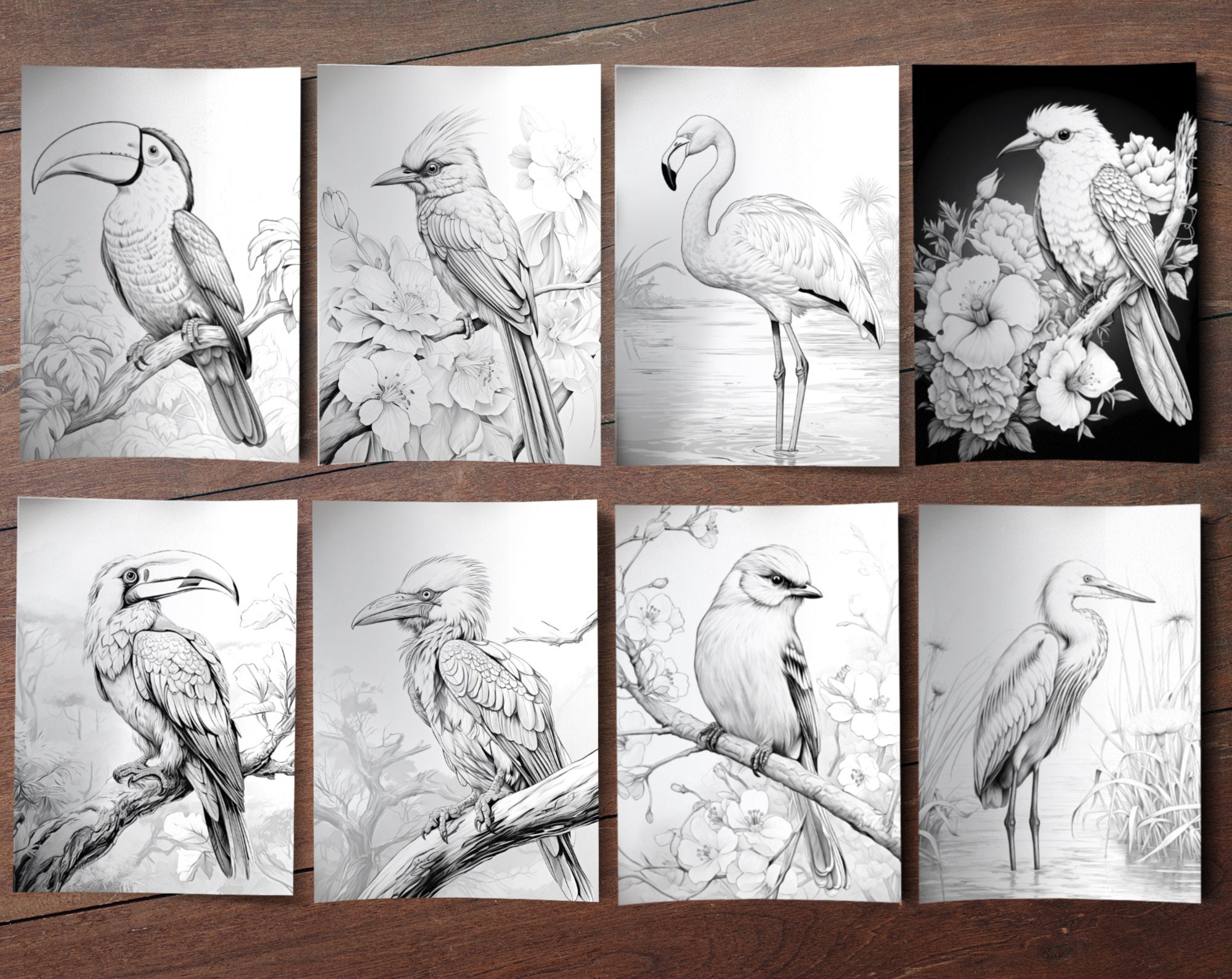 45 Birds of Paradise Digital Coloring Book, Tropical Birds Coloring ...