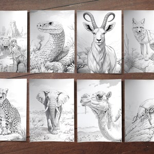 60 Desert Animals Digital Coloring Book, Safari Animals Coloring Pages ...