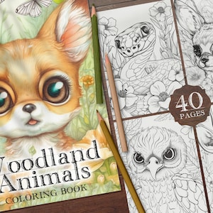 40 Woodland Animals Coloring Book, Cute Animal Coloring Pages, Fox ...