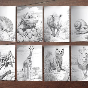 60 Desert Animals Digital Coloring Book, Safari Animals Coloring Pages ...
