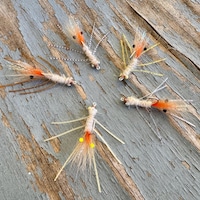 Little Shrimp - Pink - Etsy