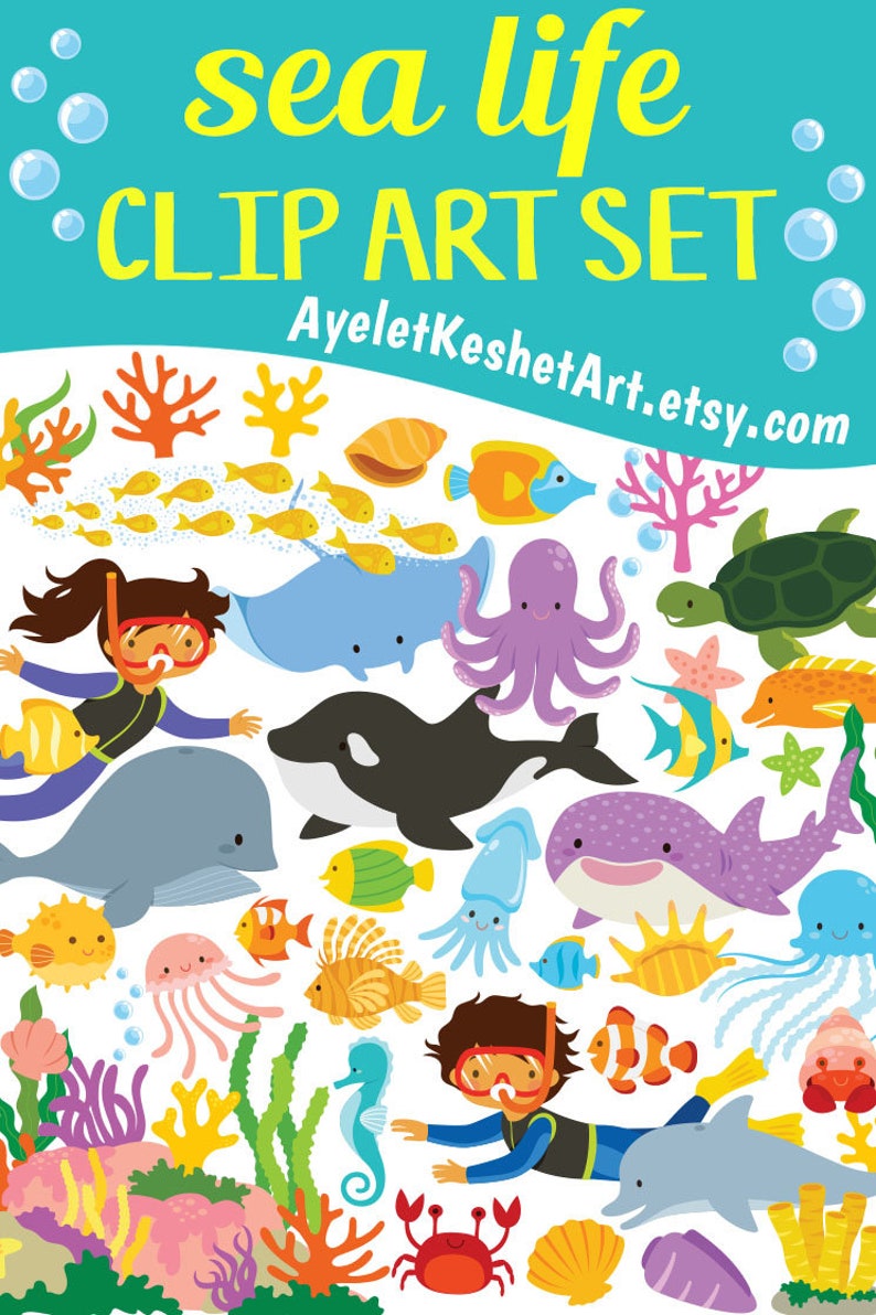 Sea Life Clipart Set. Ocean Animals and Summer Clipart Bundle for ...