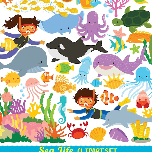Sea Life - Etsy