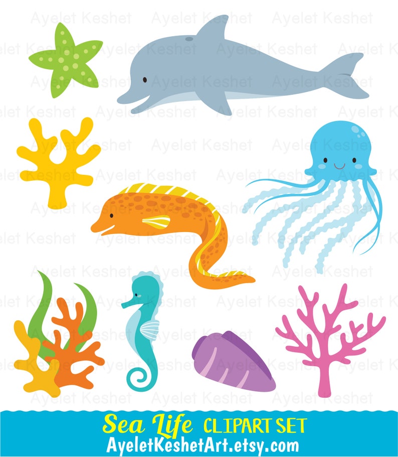 Sea Life Clipart Set. Ocean Animals and Summer Clipart Bundle for ...