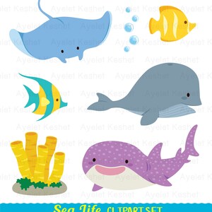 Sea Life Clipart Set. Ocean Animals and Summer Clipart Bundle for ...