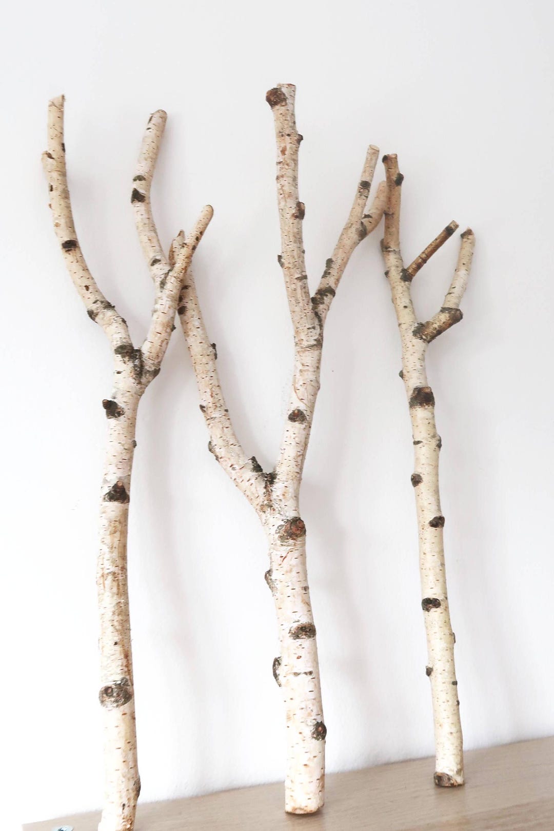 Set of 3 White Birch Branches 18, Dried Birch Branches, Natural Forest ...