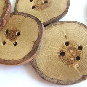 Oak Wood Buttons, Set of 6 Rustic Large Branch Buttons, Wooden Buttons ...
