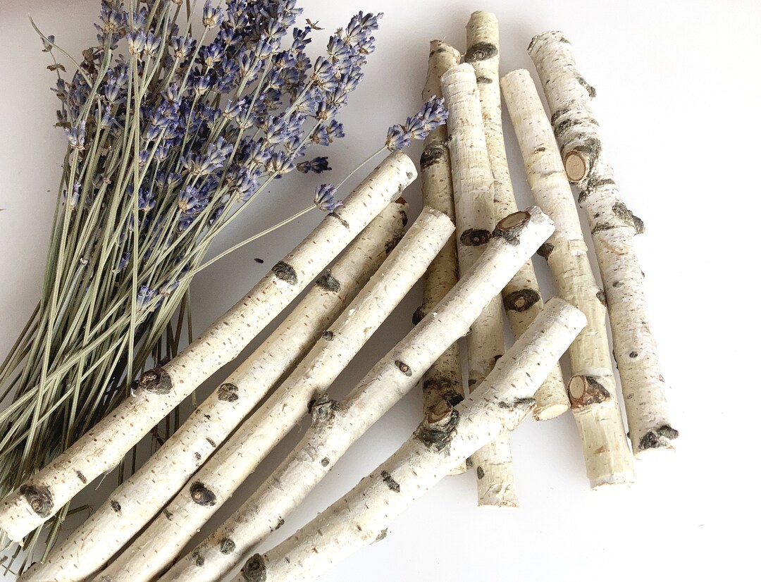 Set of 5 Birch Sticks 7, White Small Birch Branches - Etsy