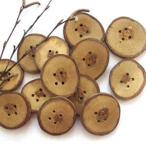 Oak Wood Buttons, Set of 6 Rustic Large Branch Buttons, Wooden Buttons ...