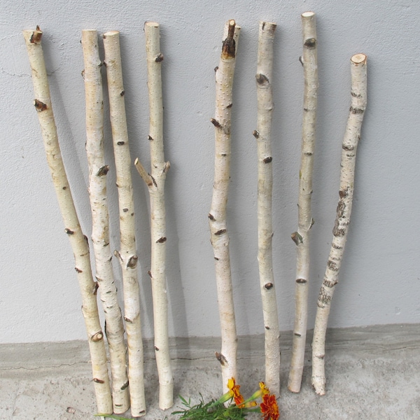 Birch Branch - Etsy