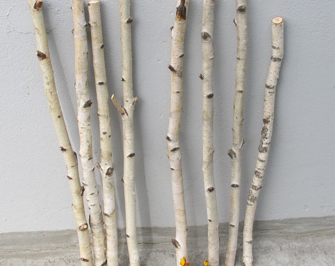 Set of 4 White Birch Branches 20, Real Birch Sticks, Natural Forest ...