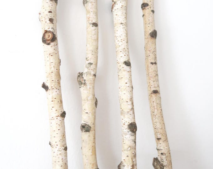 Set of 5 Small Birch Branches 10", Real Forked Dried Birch Branches ...