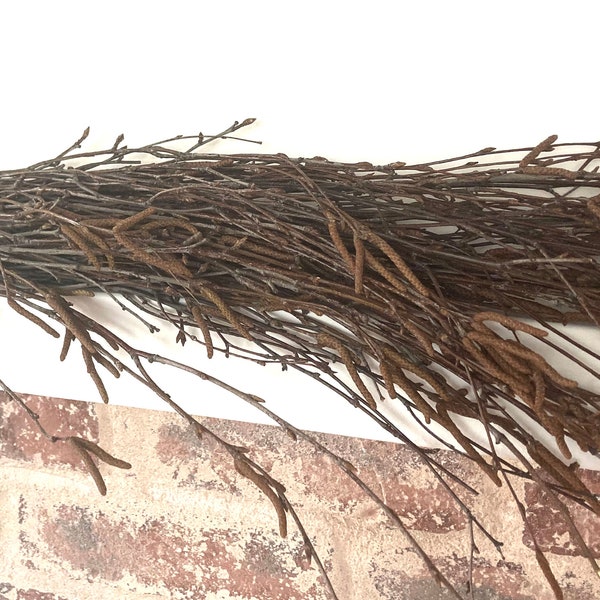 Long Birch Twigs - Etsy