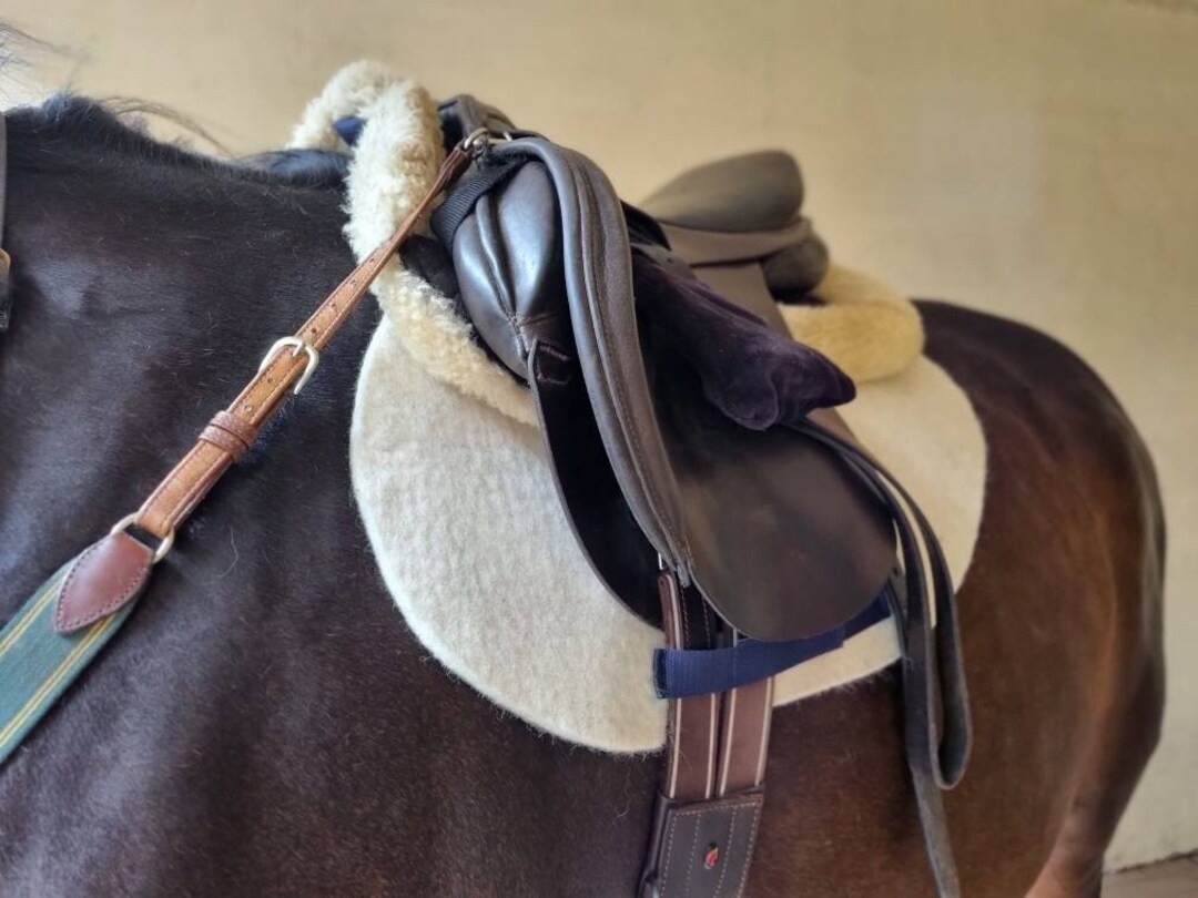 Handfelted Wool English Saddle Pad: Showjumping Numnah, White - Etsy