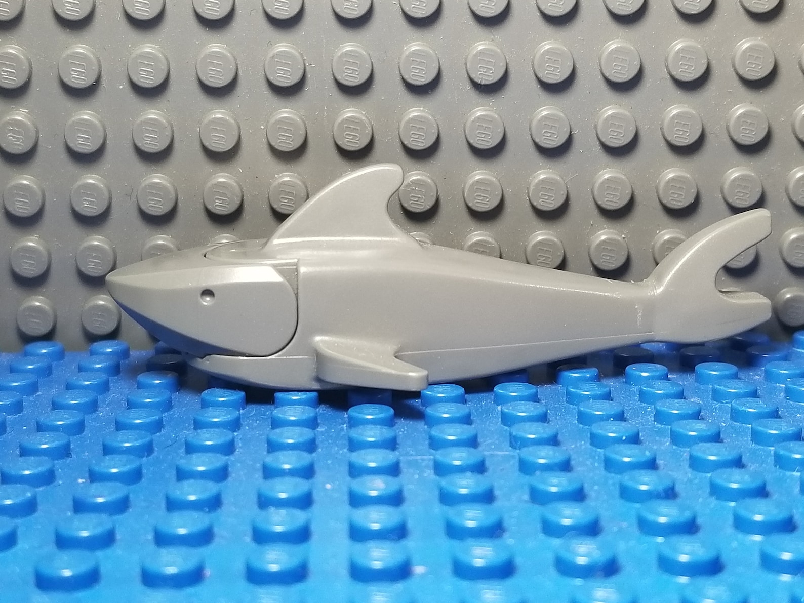 LEGO® Animals Classic Shark LEGO® Minifigure LEGO® Minifig | Etsy